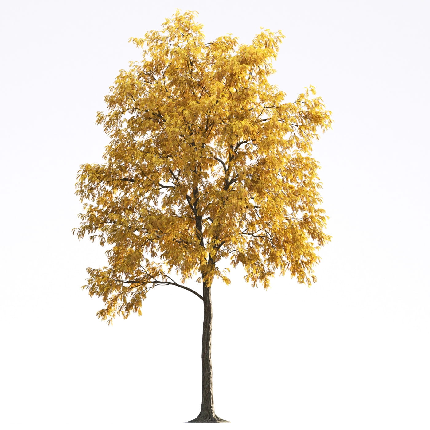 Archmodels vol. 250 (Evermotion 3D Models) - Architectural Visualizati ...