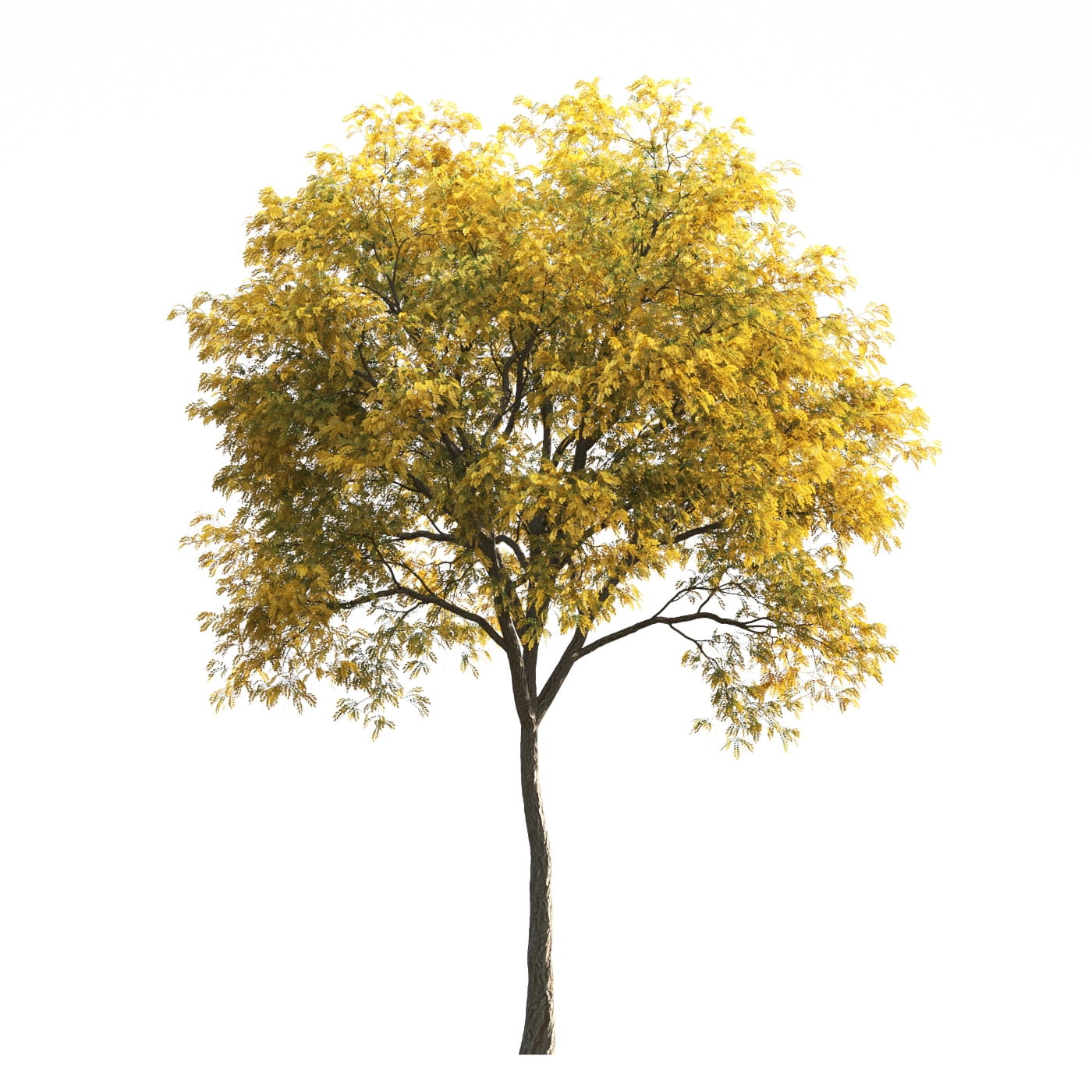 Archmodels vol. 250 (Evermotion 3D Models) - Architectural Visualizati ...