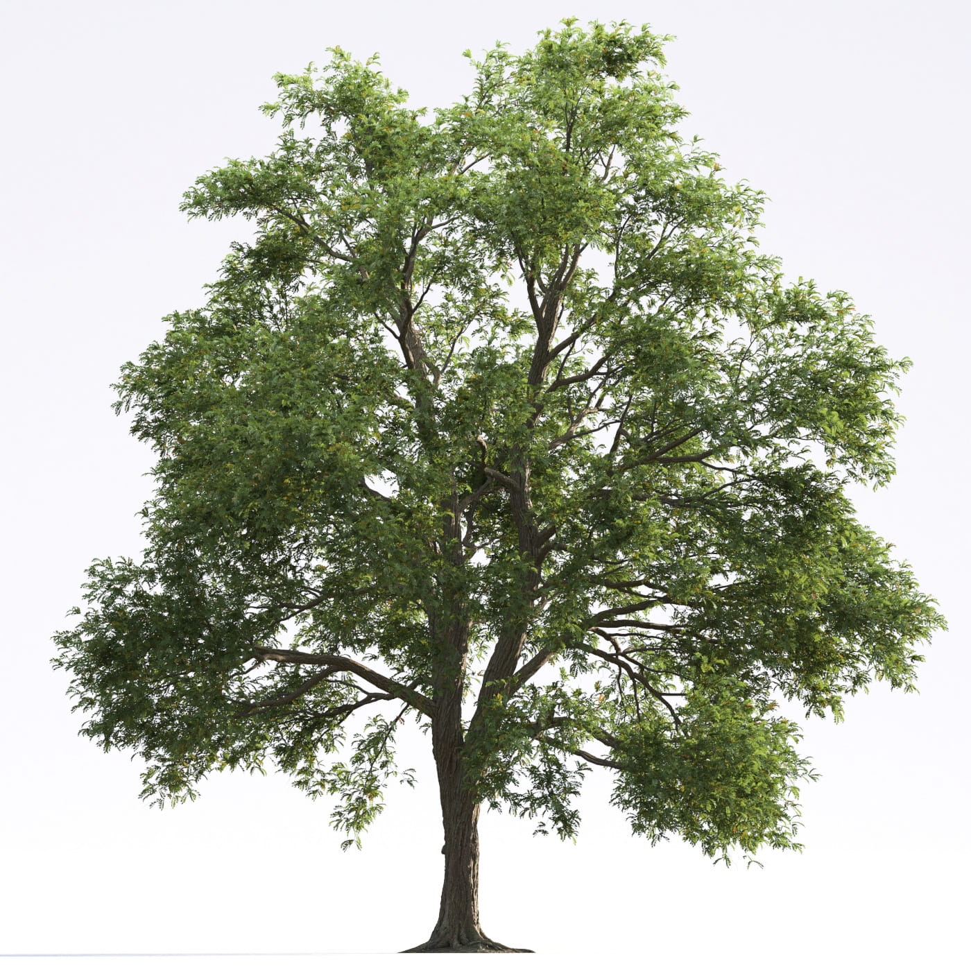 Archmodels vol. 250 (Evermotion 3D Models) - Architectural Visualizati ...