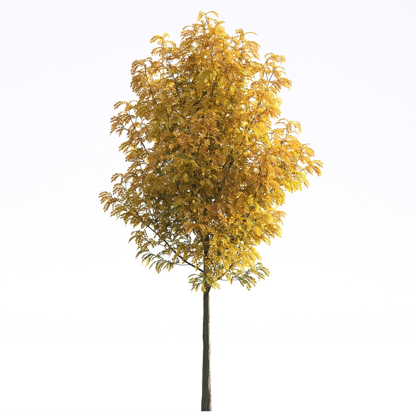 Archmodels vol. 250 (Evermotion 3D Models) - Architectural Visualizati ...