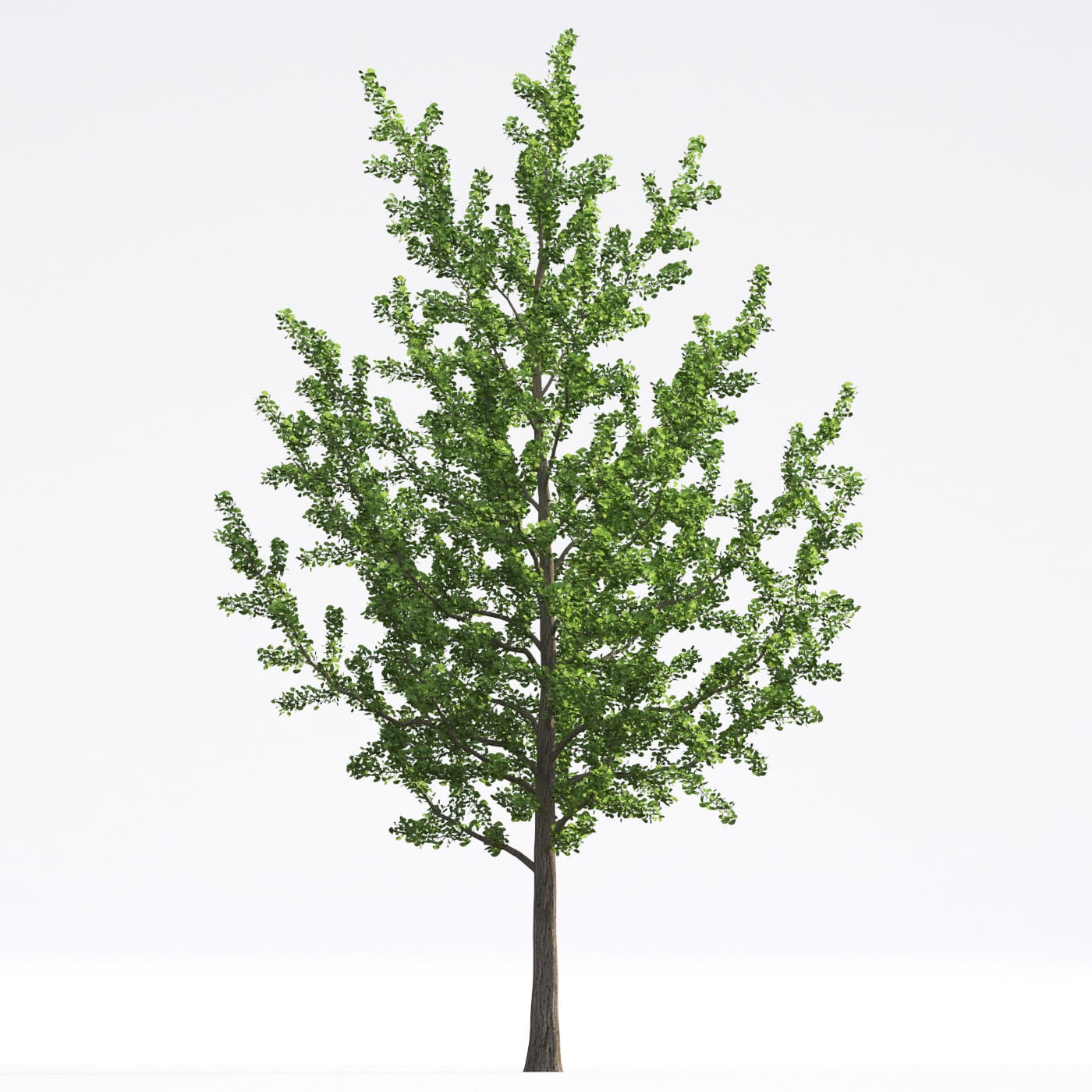 Archmodels vol. 250 (Evermotion 3D Models) - Architectural Visualizati ...