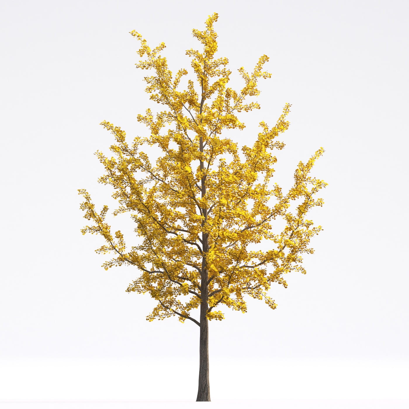 Archmodels vol. 250 (Evermotion 3D Models) - Architectural Visualizati ...