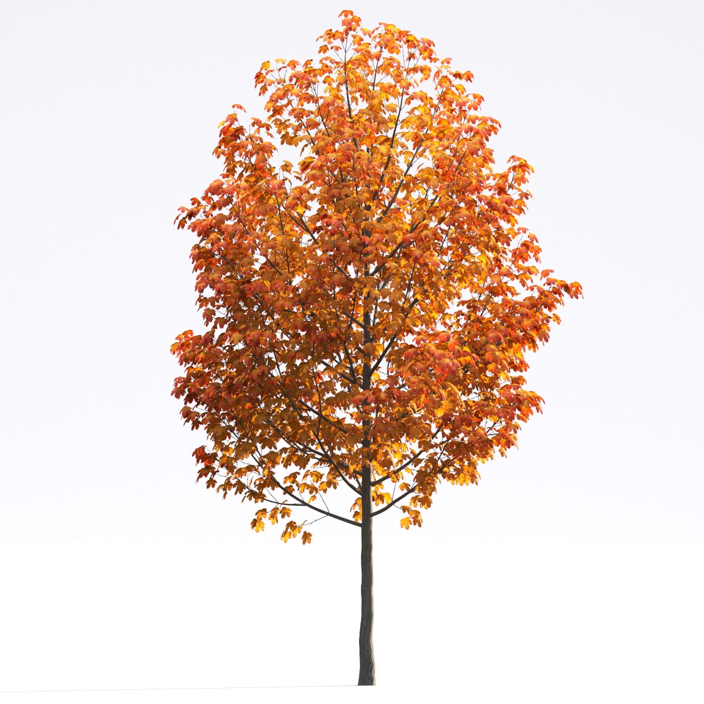 Archmodels vol. 250 (Evermotion 3D Models) - Architectural Visualizati ...