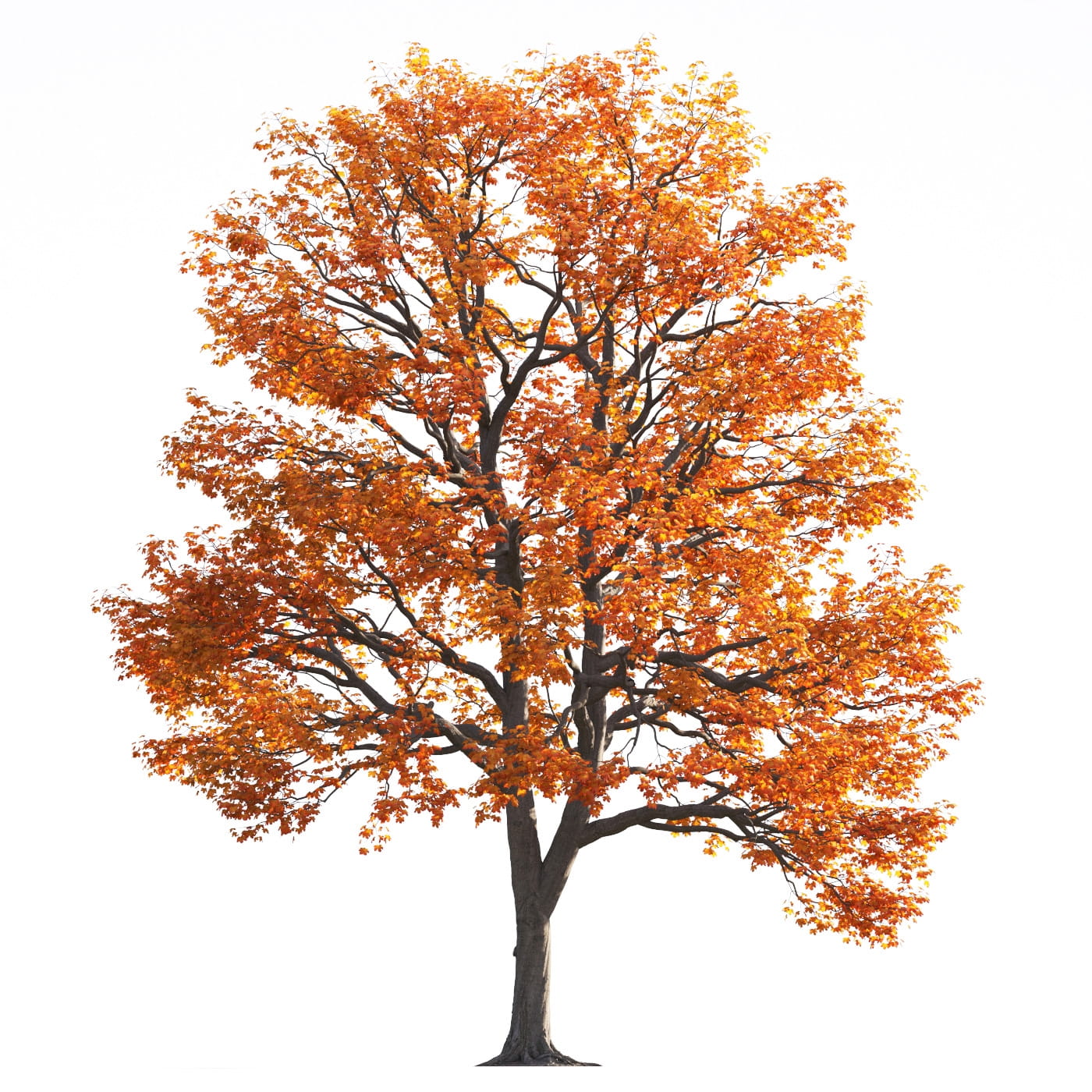 Archmodels vol. 250 (Evermotion 3D Models) - Architectural Visualizati ...