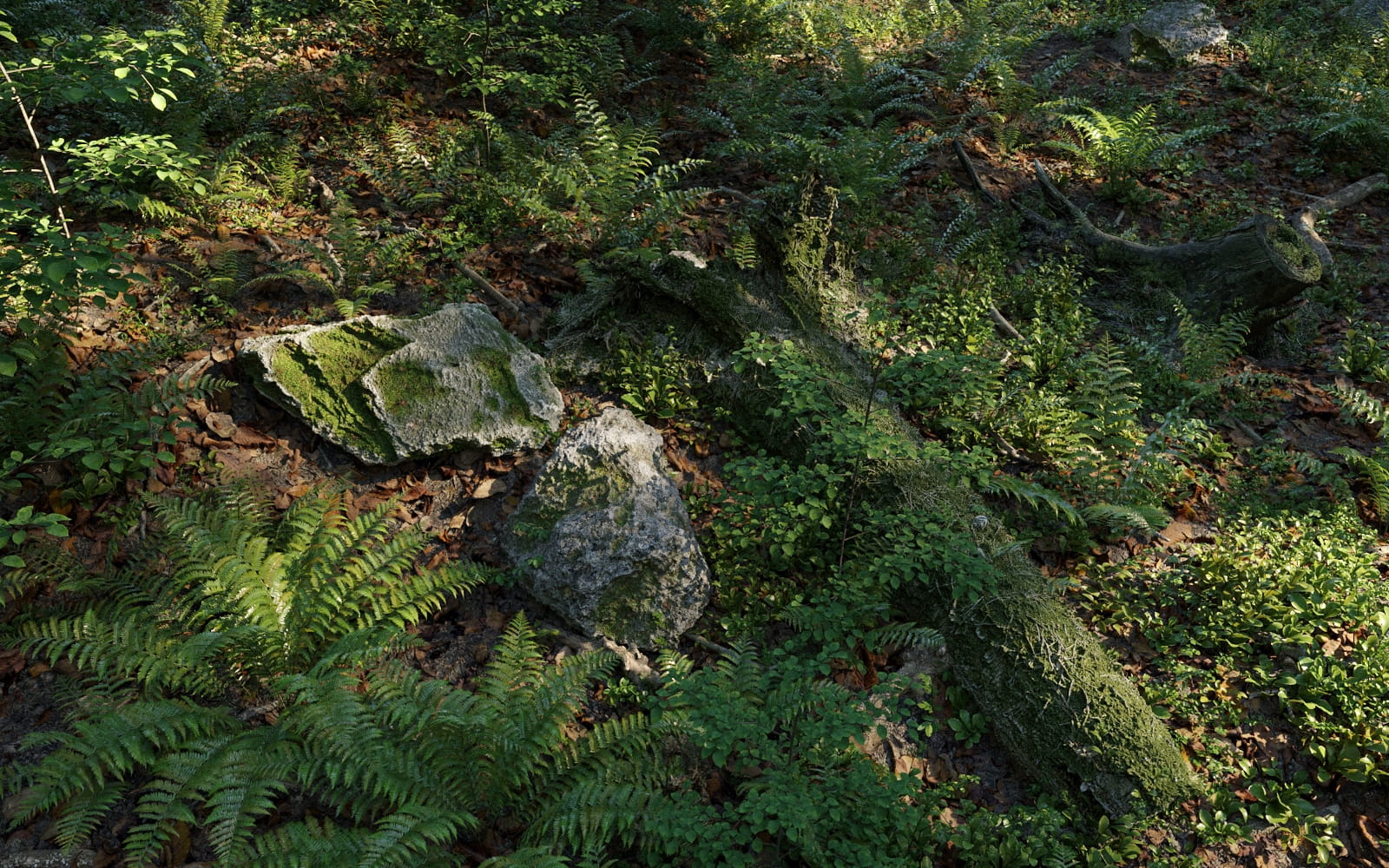 15th Anniversary Collection (Evermotion 3D Models) - Architectural Vis ...